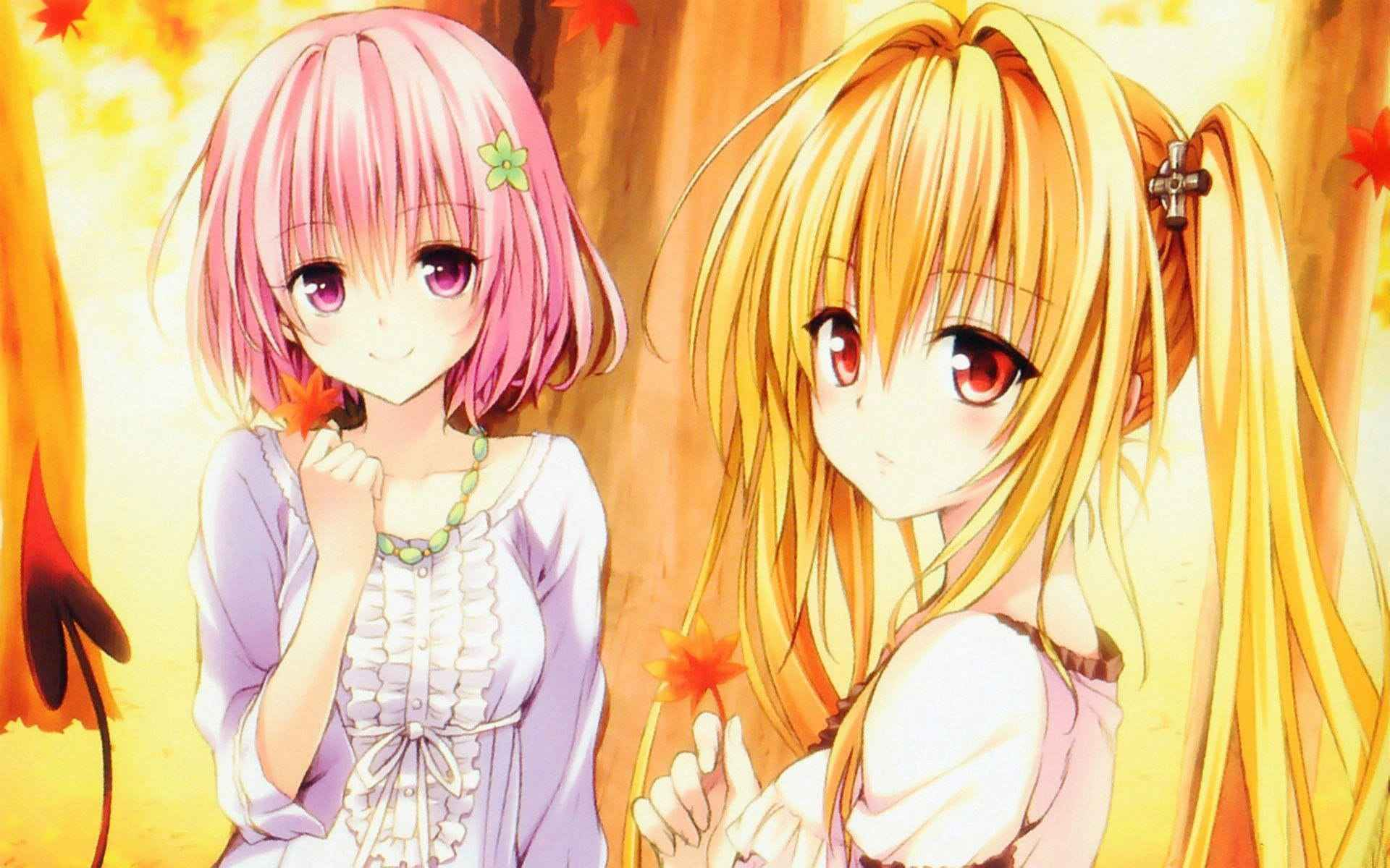 【576P/生肉】出包王女 To Loveる Darkness OAD 10/SP_哔哩哔哩 (゜-゜)つロ 干杯~-bilibili