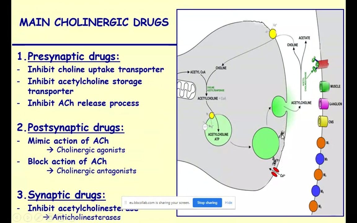 Pns 7 Na Drugs 哔哩哔哩 Bilibili