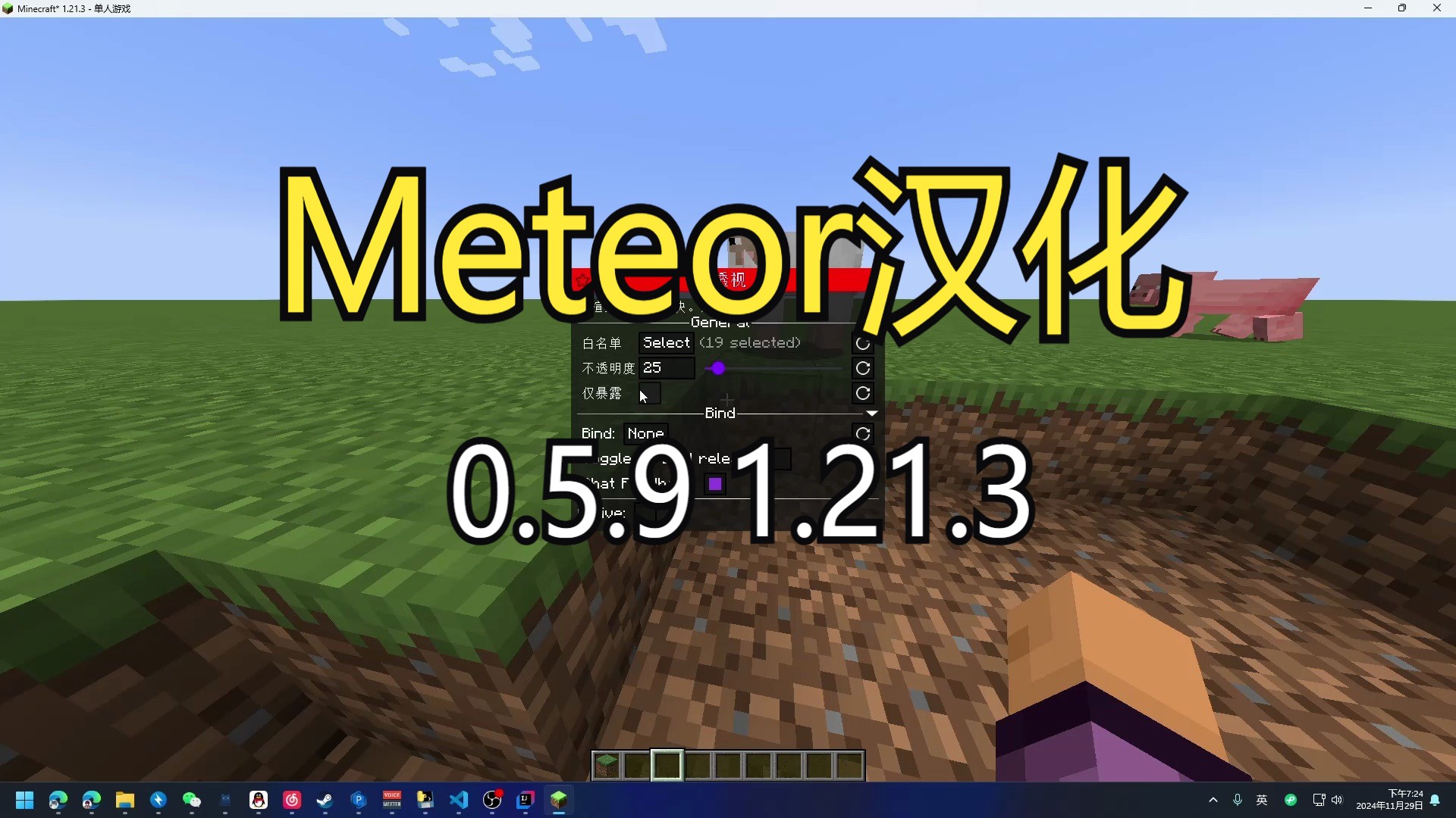 [meteor-client]meteor-client汉化 (演示版本【0.5.9 1.21.3】)-食我压路-食我压路-哔哩哔哩视频