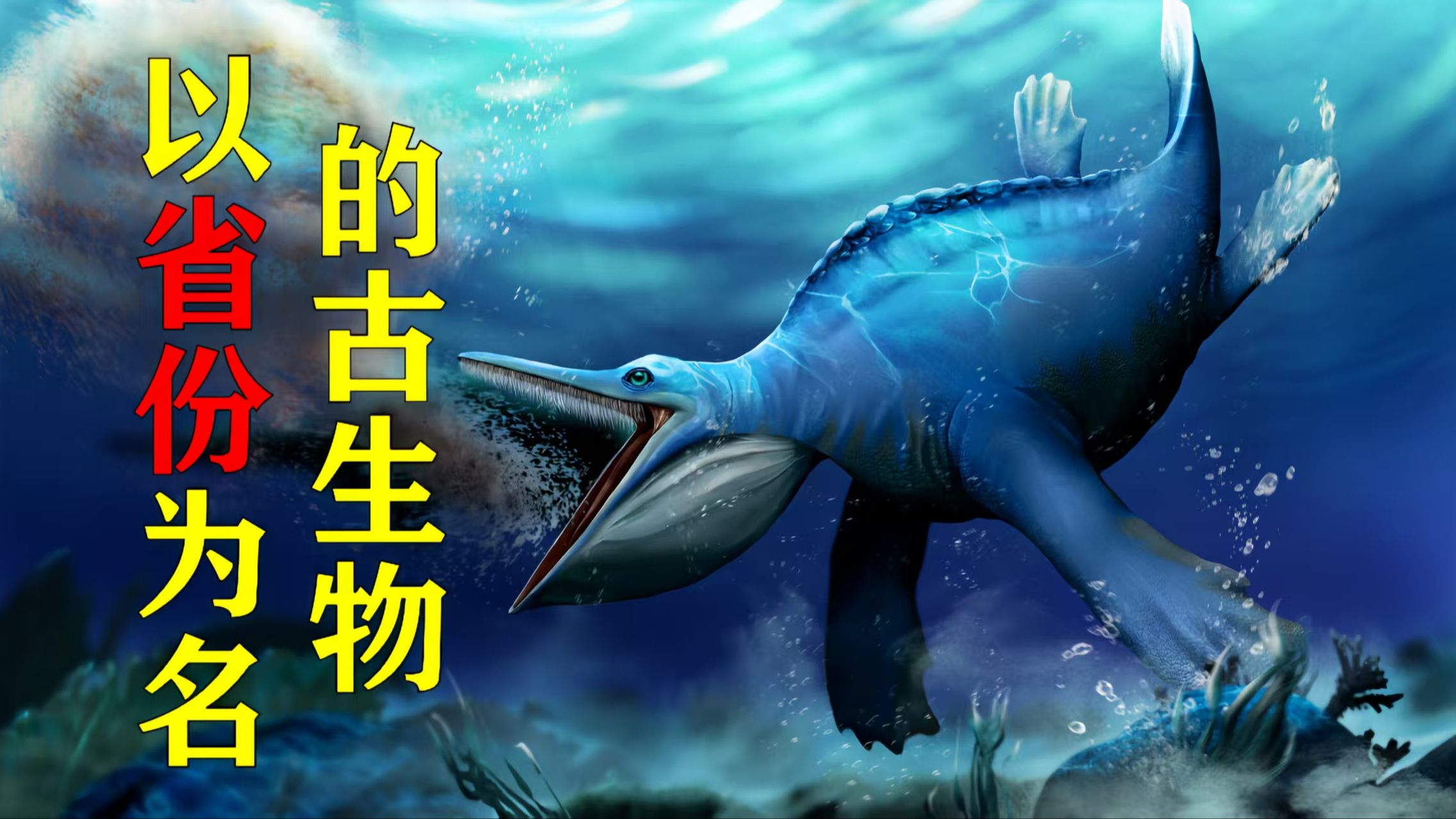 以省为名的古生物-少康1104-少康1104-哔哩哔哩视频