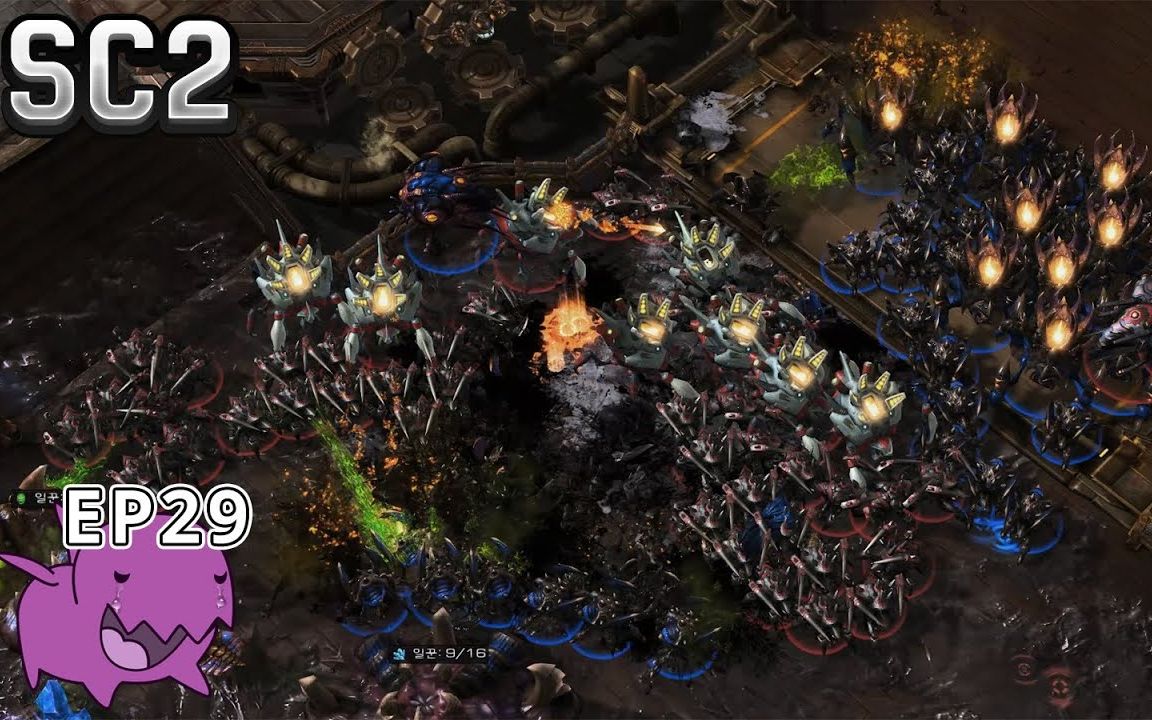 【SC2】星际2搞笑/精彩集锦EP.29 探姬合体！_哔哩哔哩_bilibili