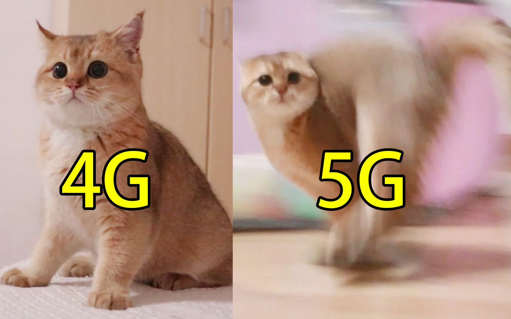 【搞笑向】4G和5G的区别_哔哩哔哩_bilibili