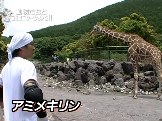 TOKIO dash 2009 5-小さisis-小さisis-哔哩哔哩视频