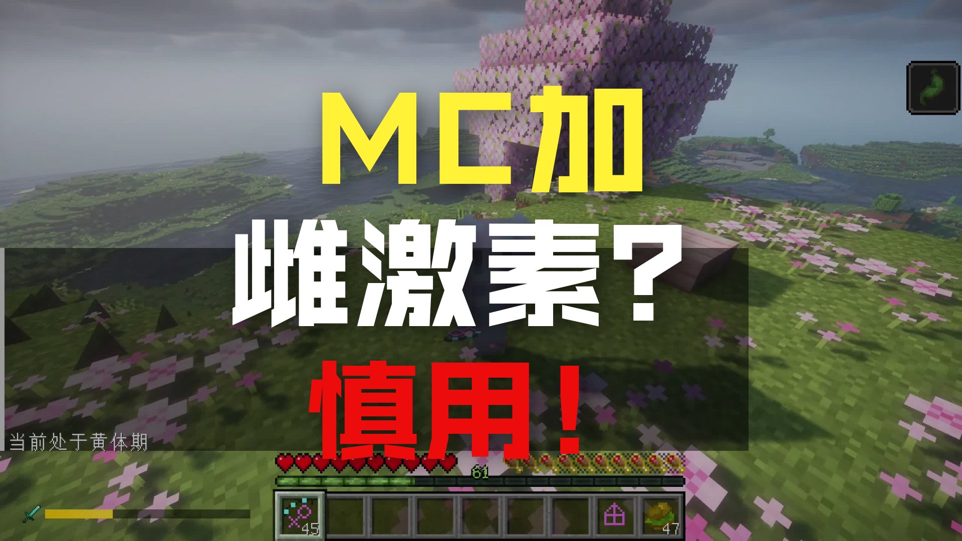 雌激素！我在MC中添加了雌激素！-CrystalNeko-CrystalNeko-哔哩哔哩视频