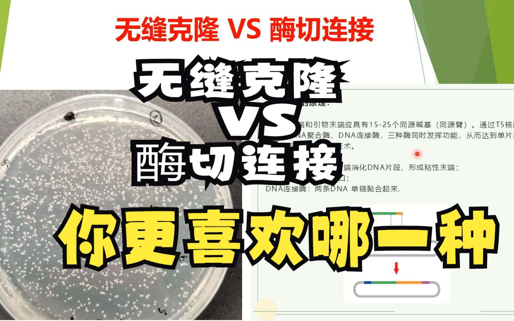 无缝克隆vs酶切连接,你更擅长哪一种 Bili11921838335 默认收藏夹 哔哩哔哩视频