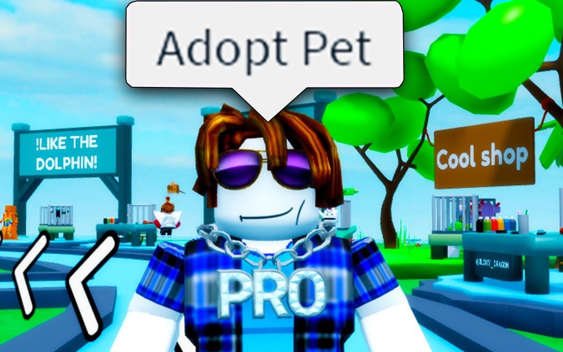 Roblox 领养宠物体验(sebee)_哔哩哔哩bilibili