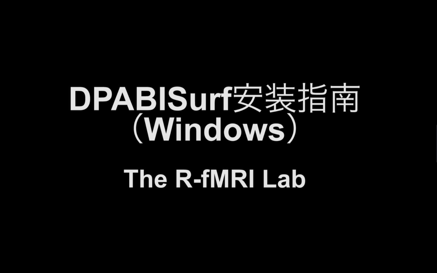 DPABISurf安装指南（Windows）_哔哩哔哩_bilibili