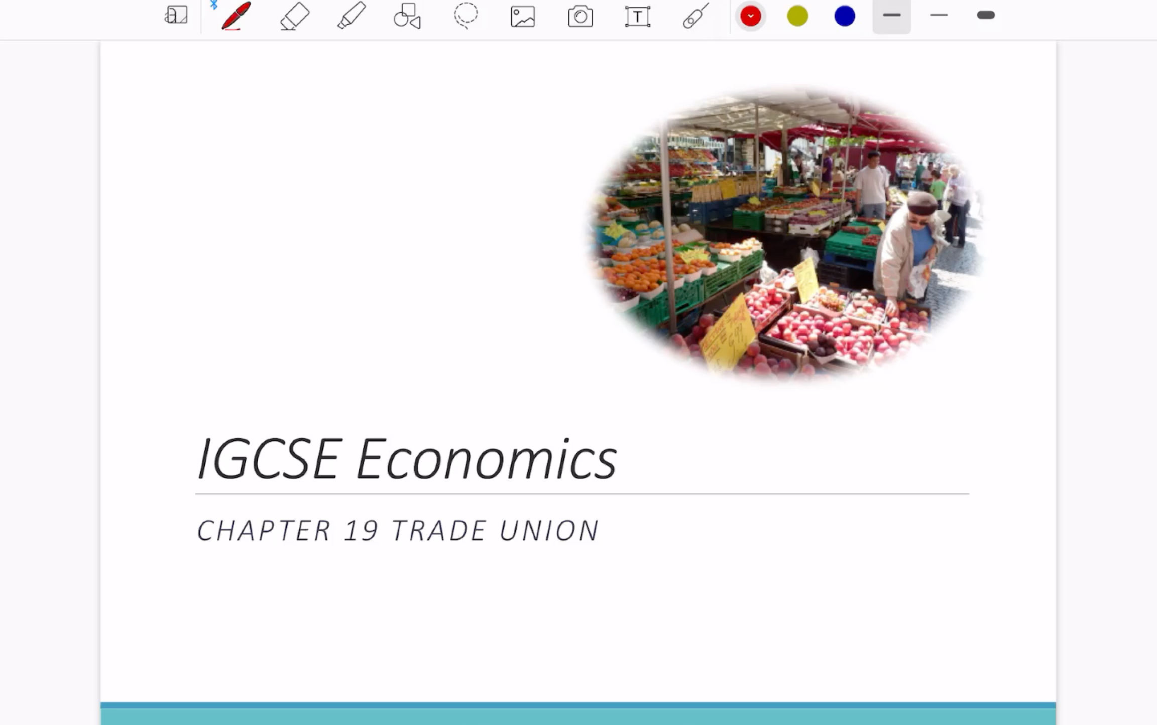 IGCSE Economics - S3- chapter 19-trade union_哔哩哔哩_bilibili