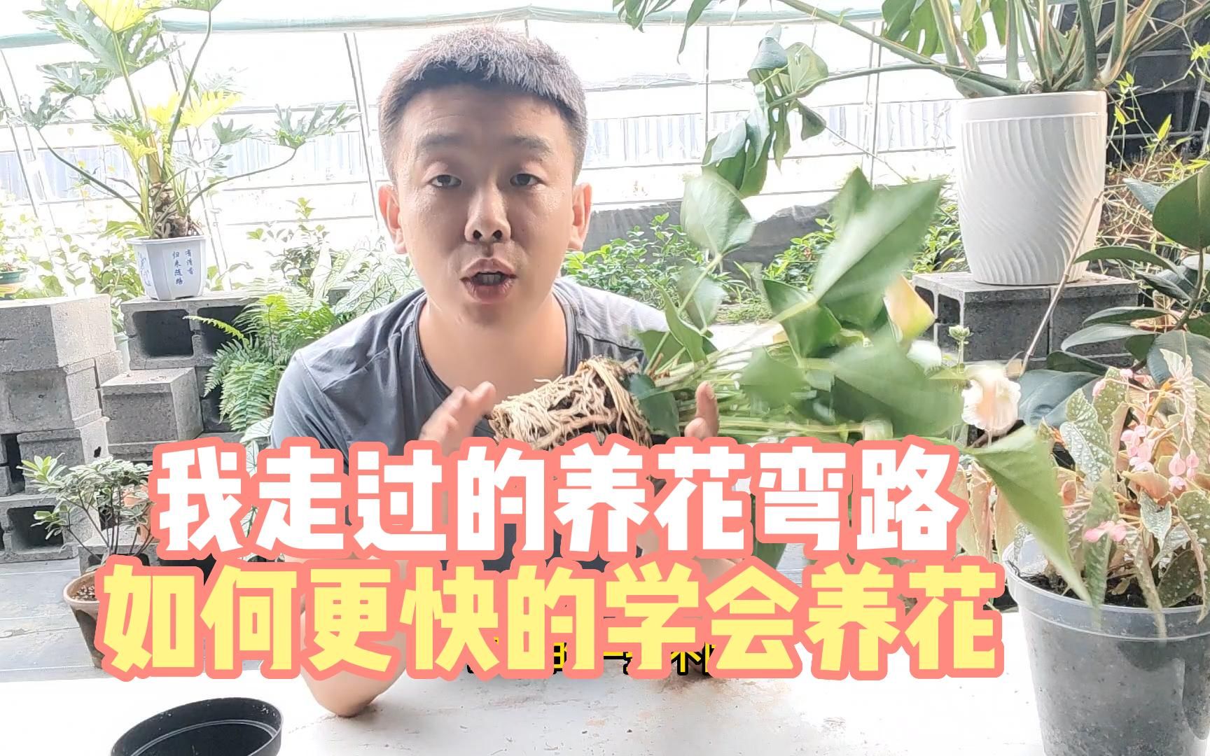 我走过的养花弯路，如何更快的学会养花 禅艺绿植工作室 禅艺绿植工作室 哔哩哔哩视频