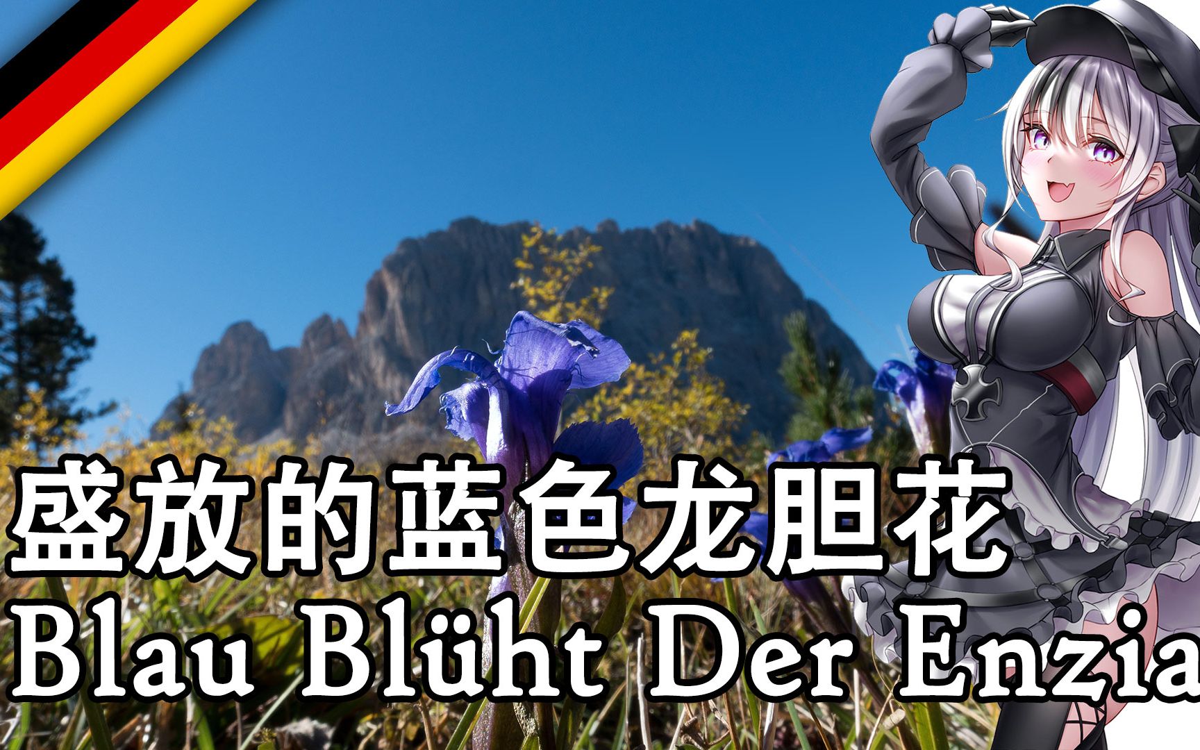 【Blau blüht der Enzian】盛放的蓝色龙胆花-中华田园人ausUngarn-中华田园人ausUngarn-哔哩哔哩视频