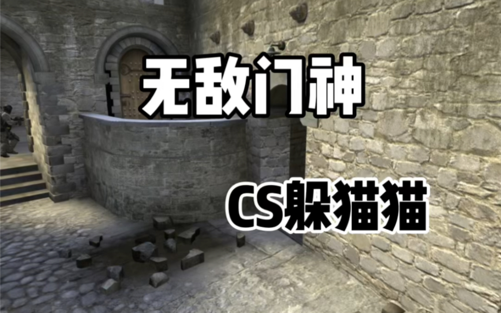CSGO躲猫猫：无敌门神-禹辰OvO-禹辰OvO-哔哩哔哩视频