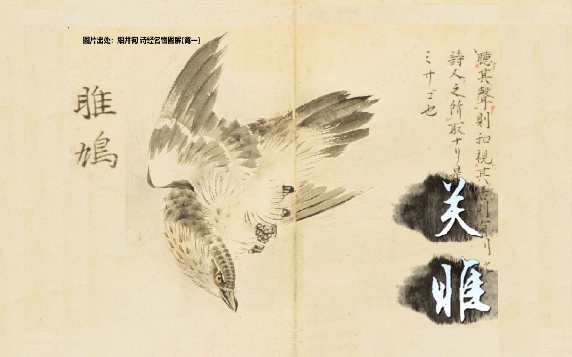 诗经001《周南·关雎》-学习记录-原文朗读-进步生自习室-进步生自习室-哔哩哔哩视频