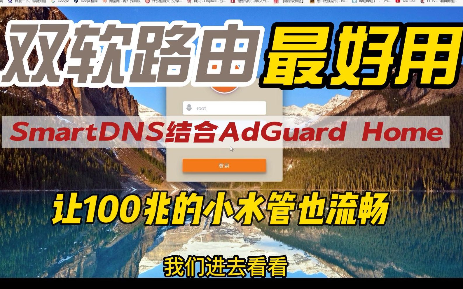 利用好SmartDNS结合AdGuard Home让100兆的小水管也流畅-逃跑的灵芝-逃跑的灵芝-哔哩哔哩视频