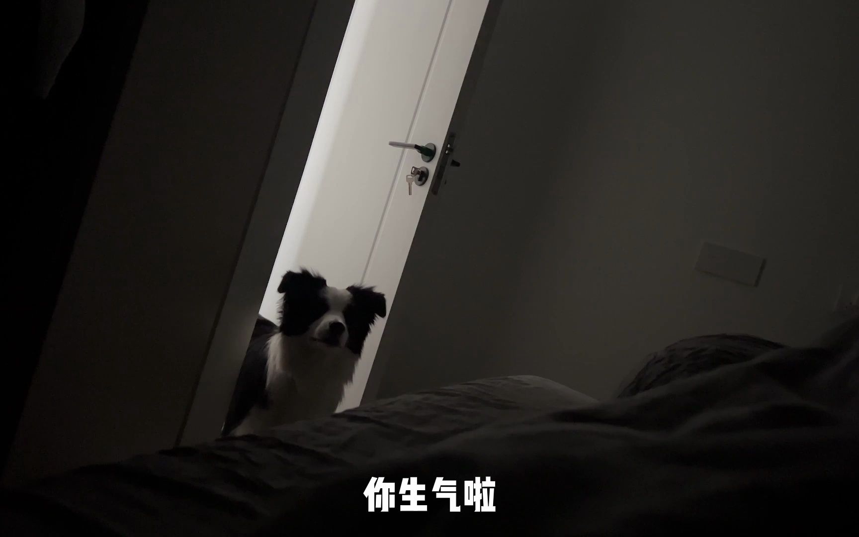 【奉天承芸】 你生气啦” 嗯~” 我说的狗” 哼哼唧唧没睡醒 230228蒋芸频道哔哩哔哩bilibili