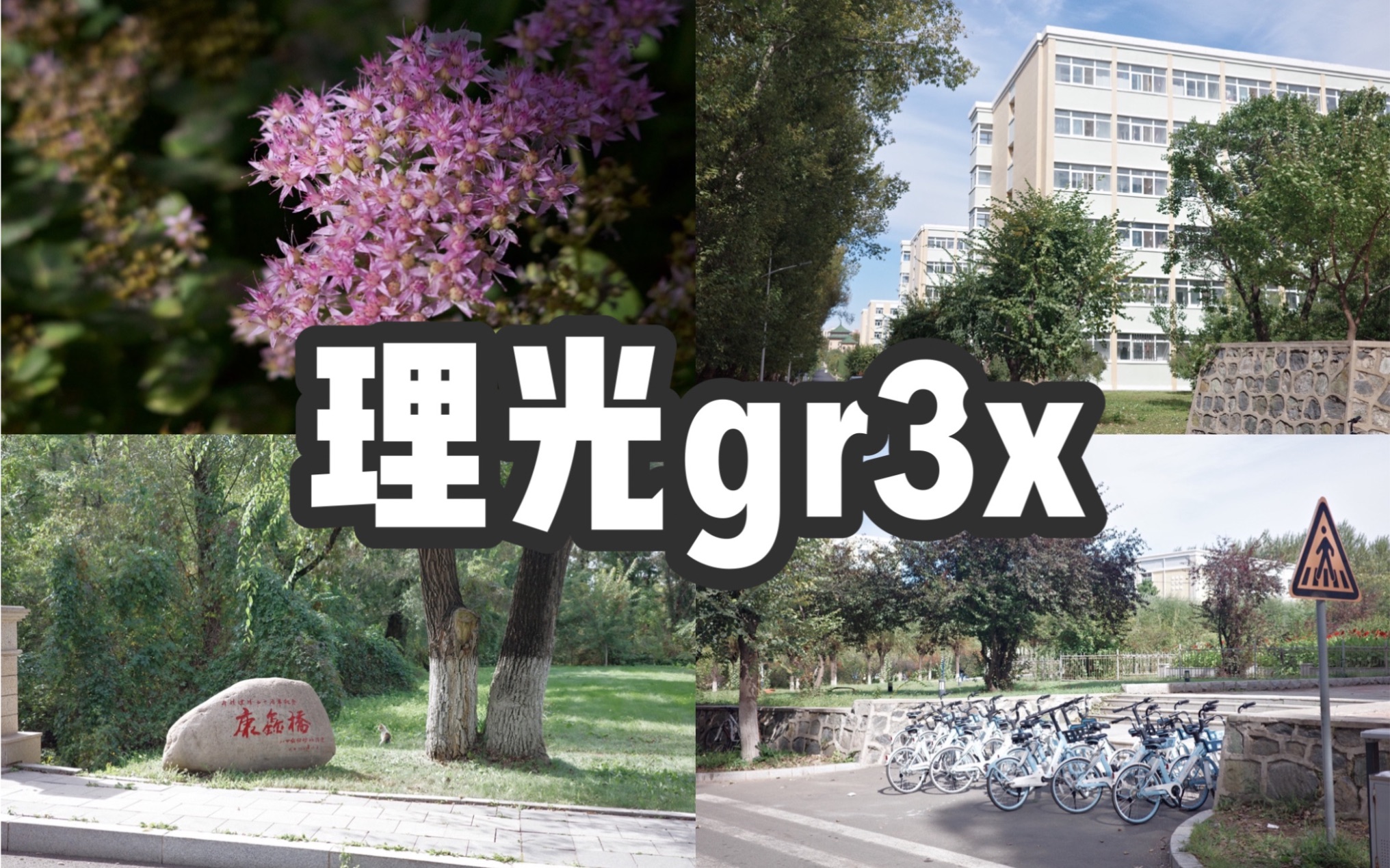 理光gr3x微距太牛了！！！全都没有后期调色，有的用了预设，大多原图直出。感觉自己还是不太会用，拍的好一般！多多记录在农大的最后一年吧～_哔哩哔哩_bilibili