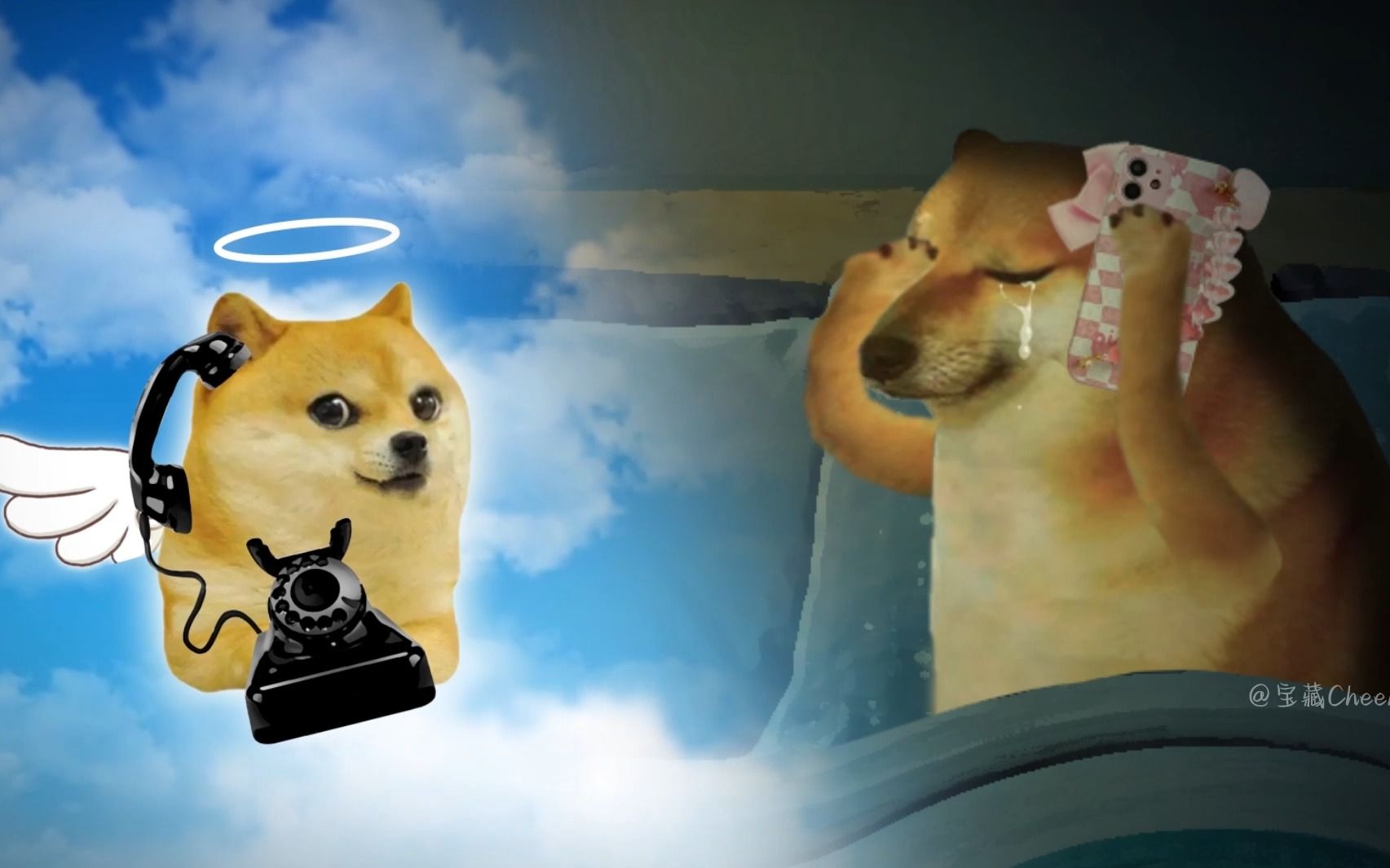 下辈子还要做妈妈的小狗-宝藏Cheems-宝藏Cheems-哔哩哔哩视频