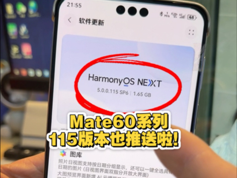 华为Mate60系列，纯血鸿蒙“115版本”也推送啦！速速更新！-怪咖学徒_-怪咖学徒_-哔哩哔哩视频