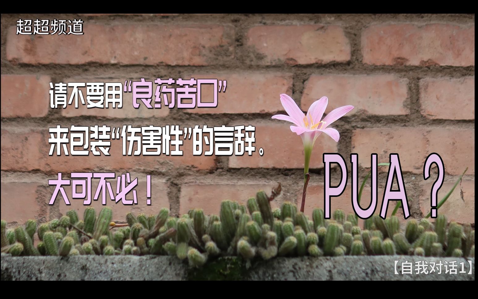 【自我对话1】PUA? 请不要用“良药苦口”，来包装伤害性的言辞。大可不必。-超超频道-超超频道-哔哩哔哩视频