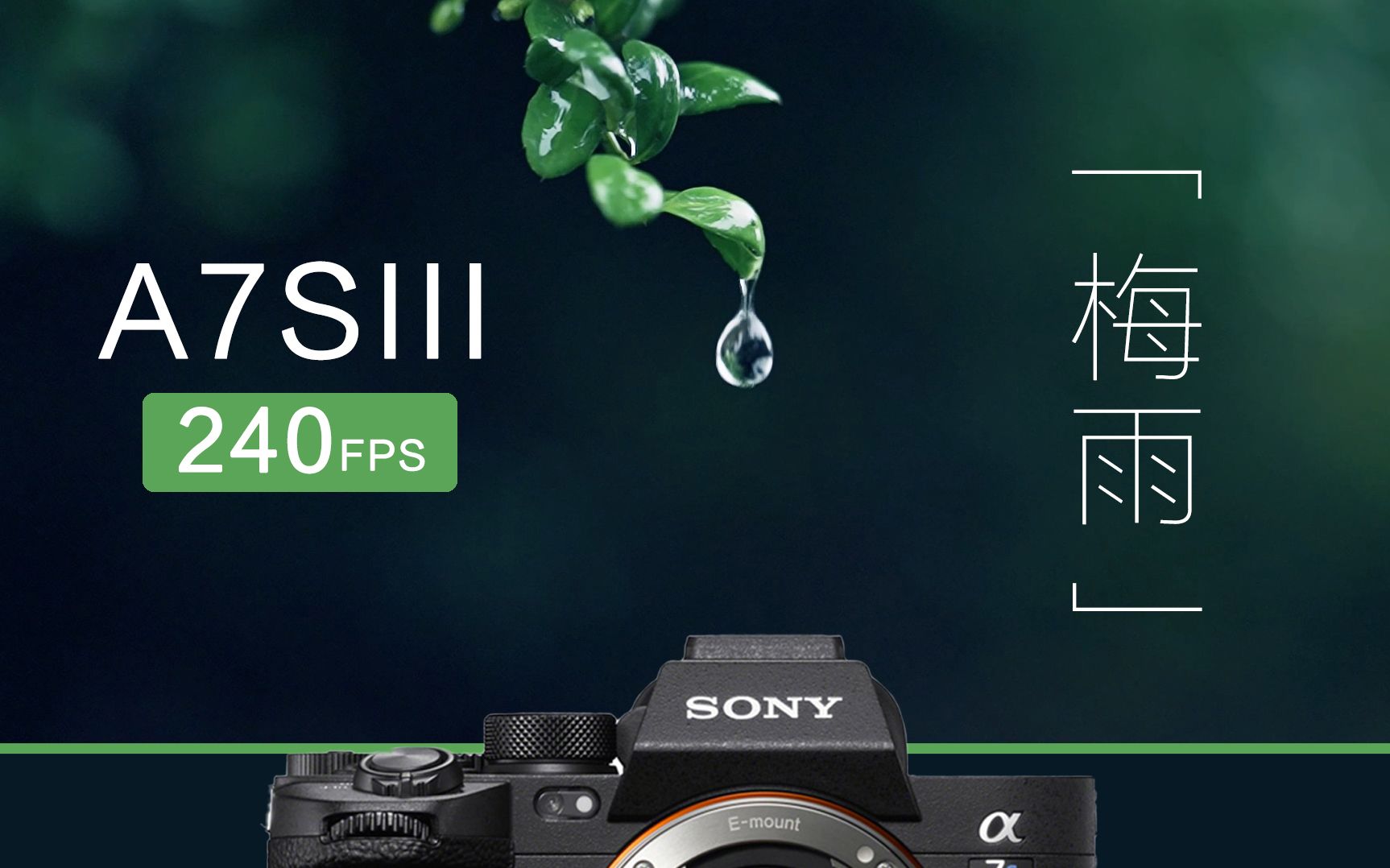 索尼A7S3 240帧视频拍摄短片【梅雨】_哔哩哔哩_bilibili