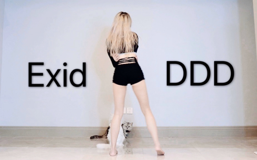 【甜】Exid-DDD猫咪抢镜练习版_哔哩哔哩_bilibili