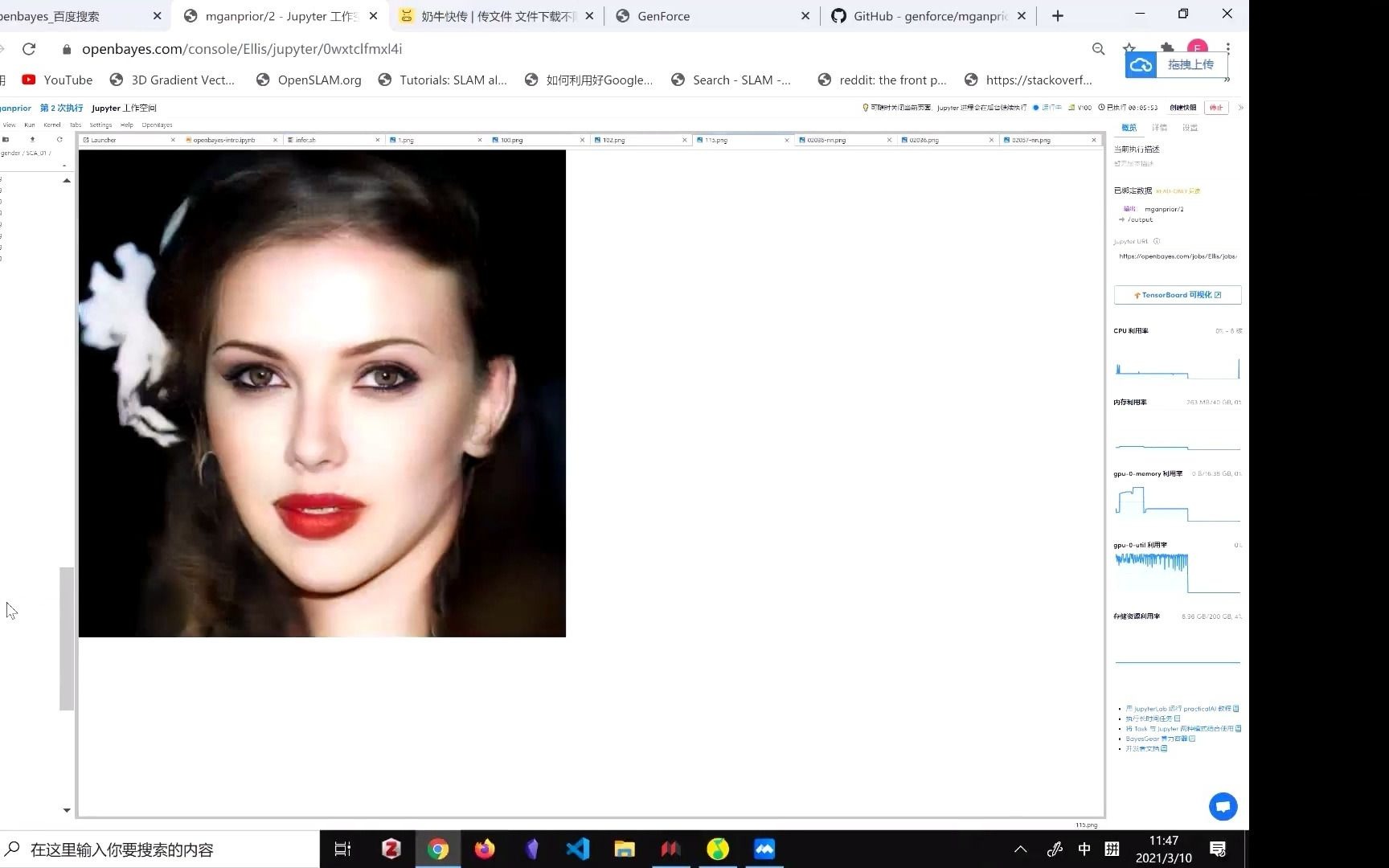 [OpenBayes实现][CVPR2020]Image Processing Using Multi Code GAN Prior_哔哩哔哩_bilibili