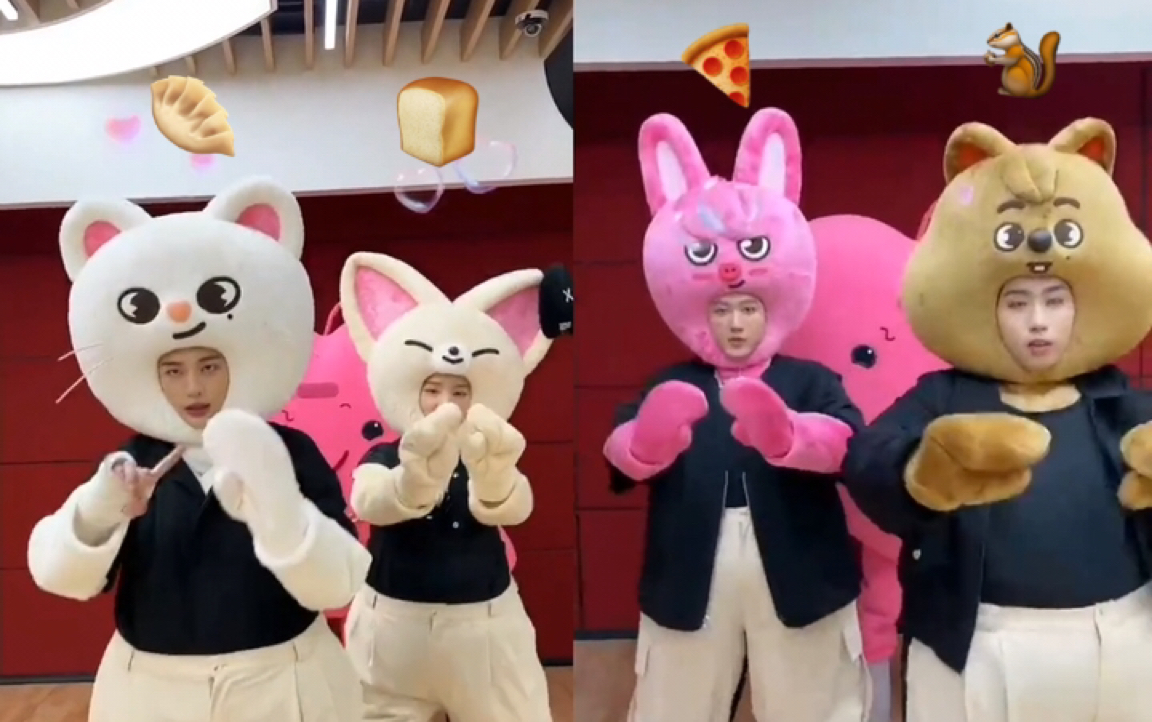 【Stray Kids】TikTok更新 自制八人同屏 'CASE 143' 惊喜公开Surprise pre-release w/ SKZOO🐾_哔哩哔哩_bilibili