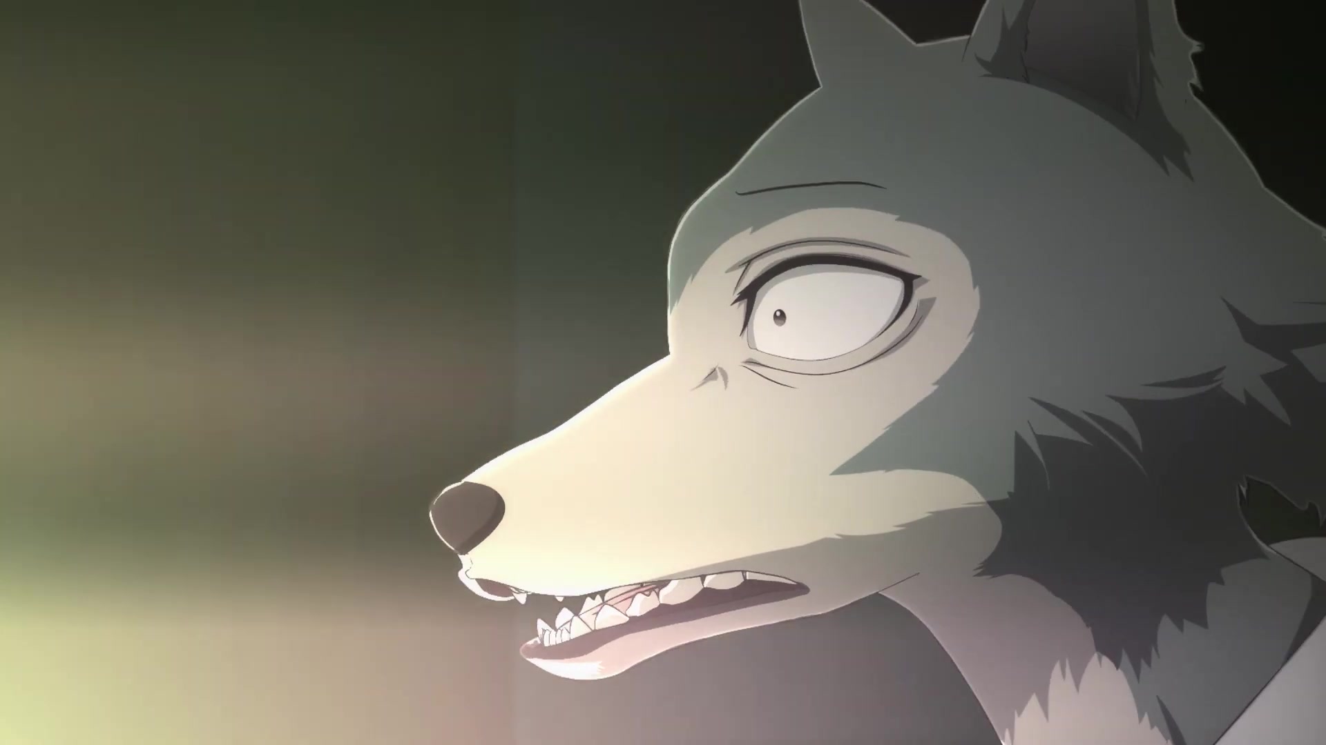 【10月】「BEASTARS」第4弾PV_哔哩哔哩_bilibili