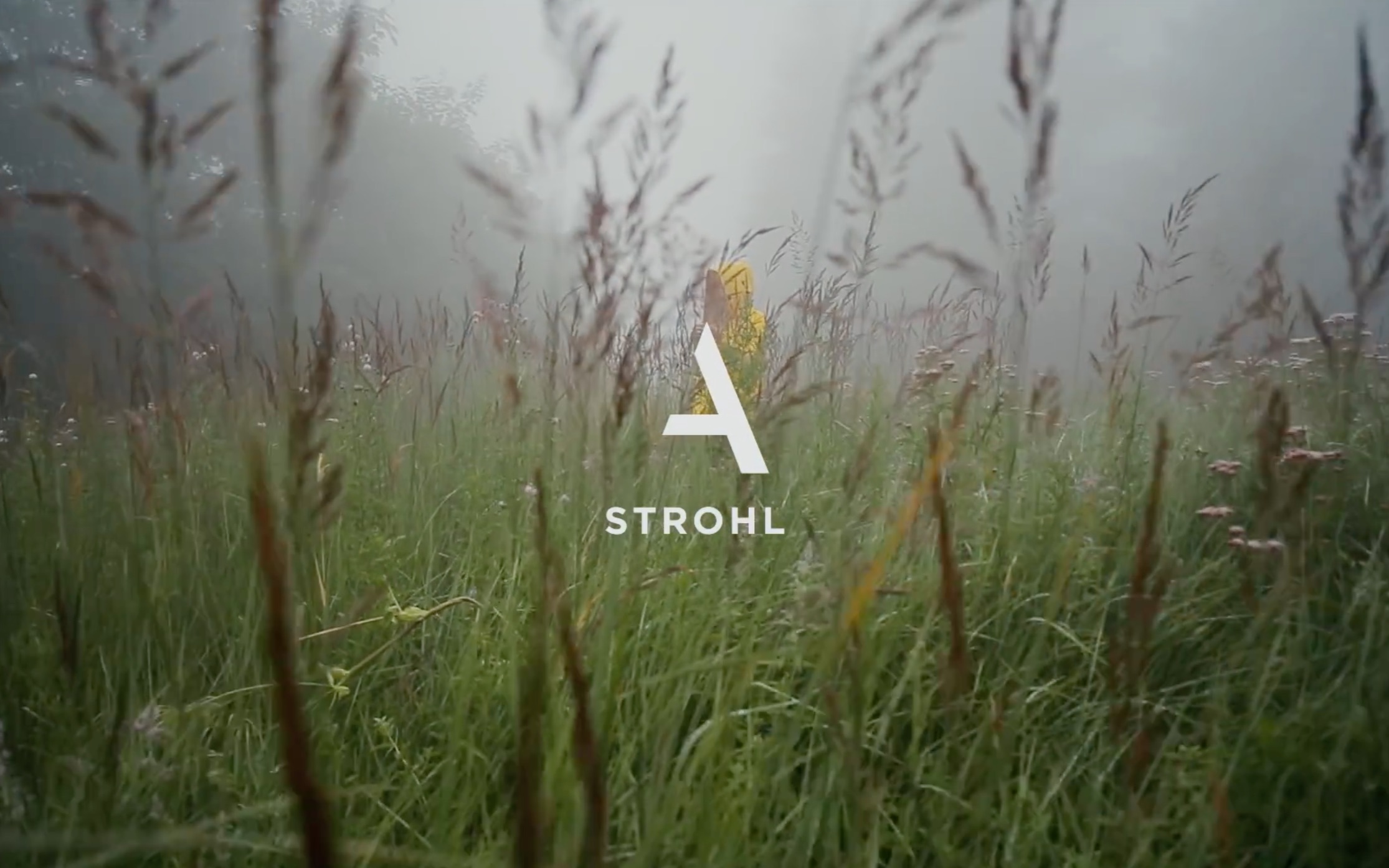 six图片壁纸-千图网