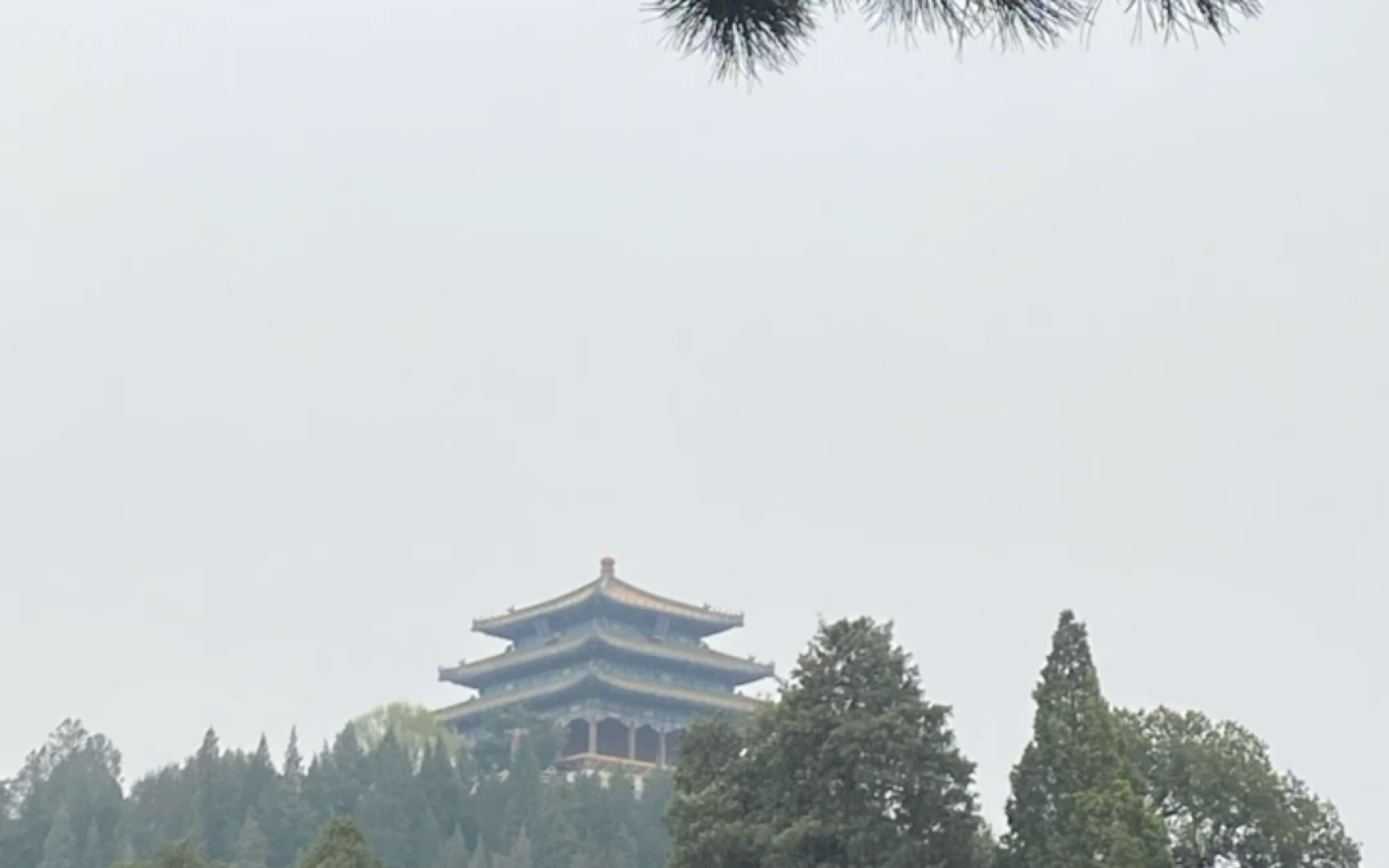 爱在西元前 七里香的喵 七里香的喵 哔哩哔哩视频
