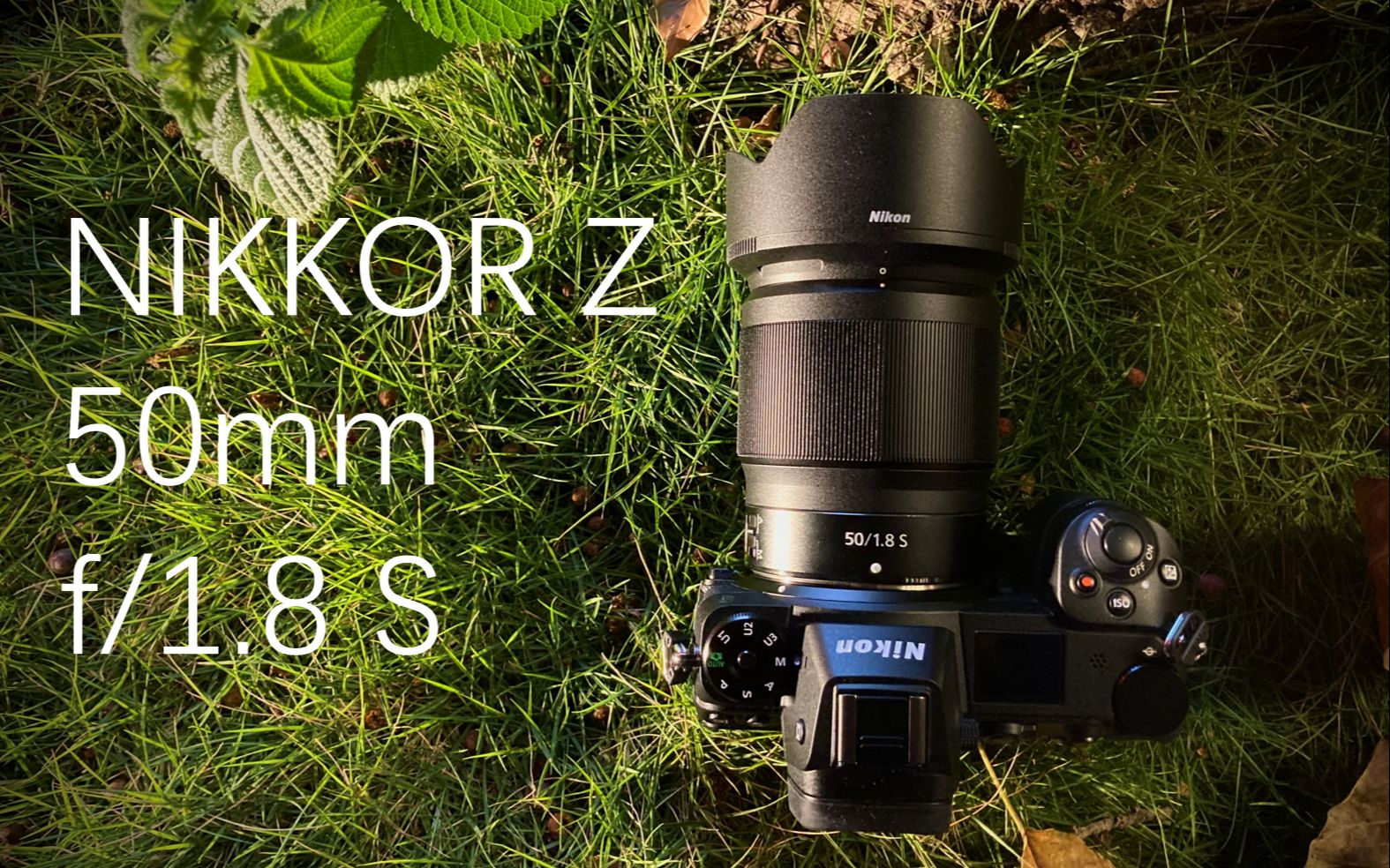 【4K】NIKKOR Z 50mm f/1.8 S样片|城市之夜_哔哩哔哩_bilibili