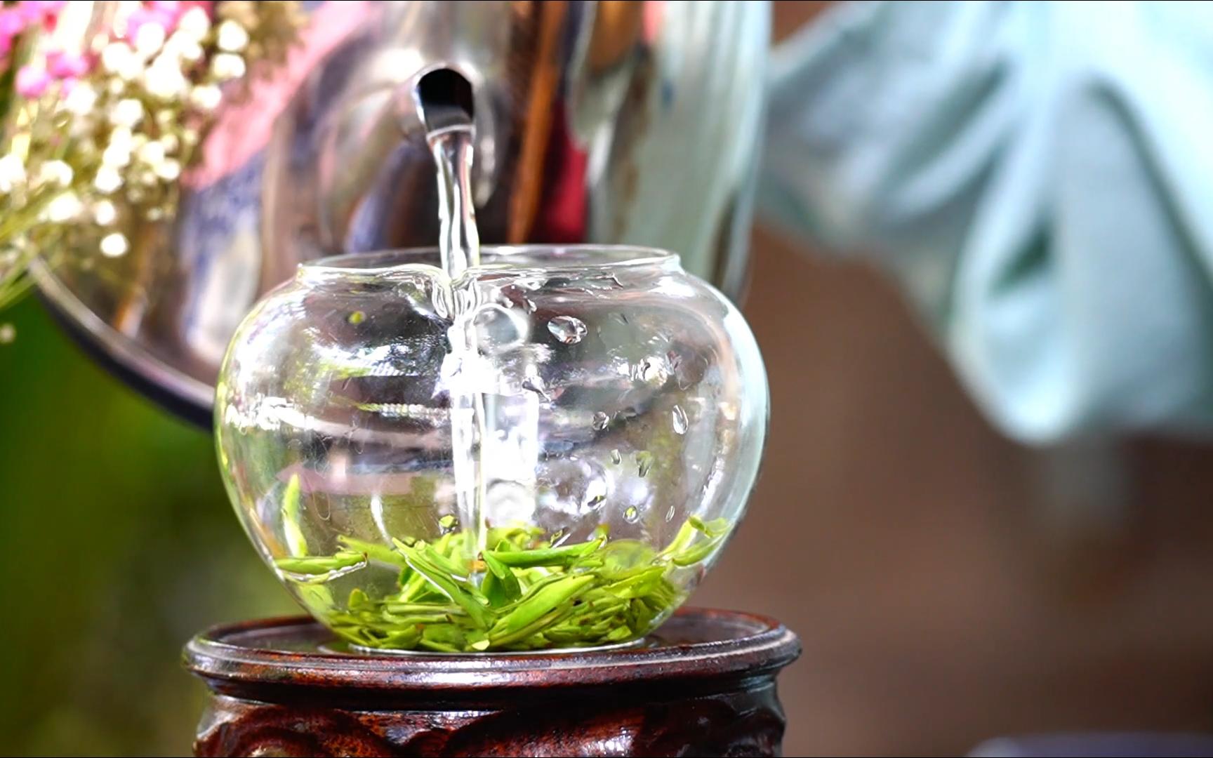 【空镜素材】採春茶-bilibili(B站)无水印视频解析——6li6在线工具箱