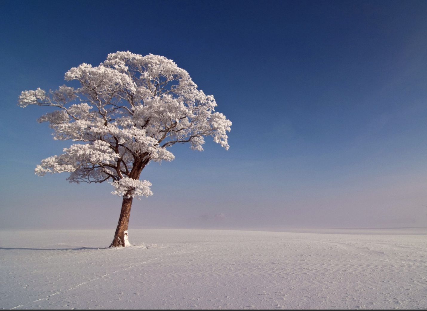 sentaurus 基础教学--适用小白（自用）-亏斯特z贼-亏斯特z贼-哔哩哔哩视频