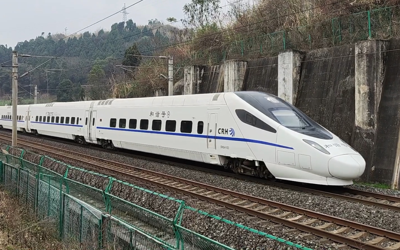 D615汉口-成都东（CRH5A-5103）大英东站出站通过罗家沟隧道15:46 20220205_哔哩哔哩_bilibili