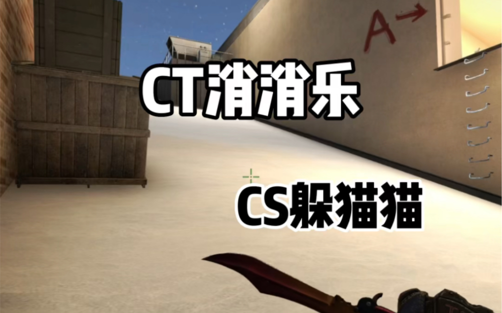 CSGO躲猫猫：CT消消乐-禹辰OvO-禹辰OvO-哔哩哔哩视频