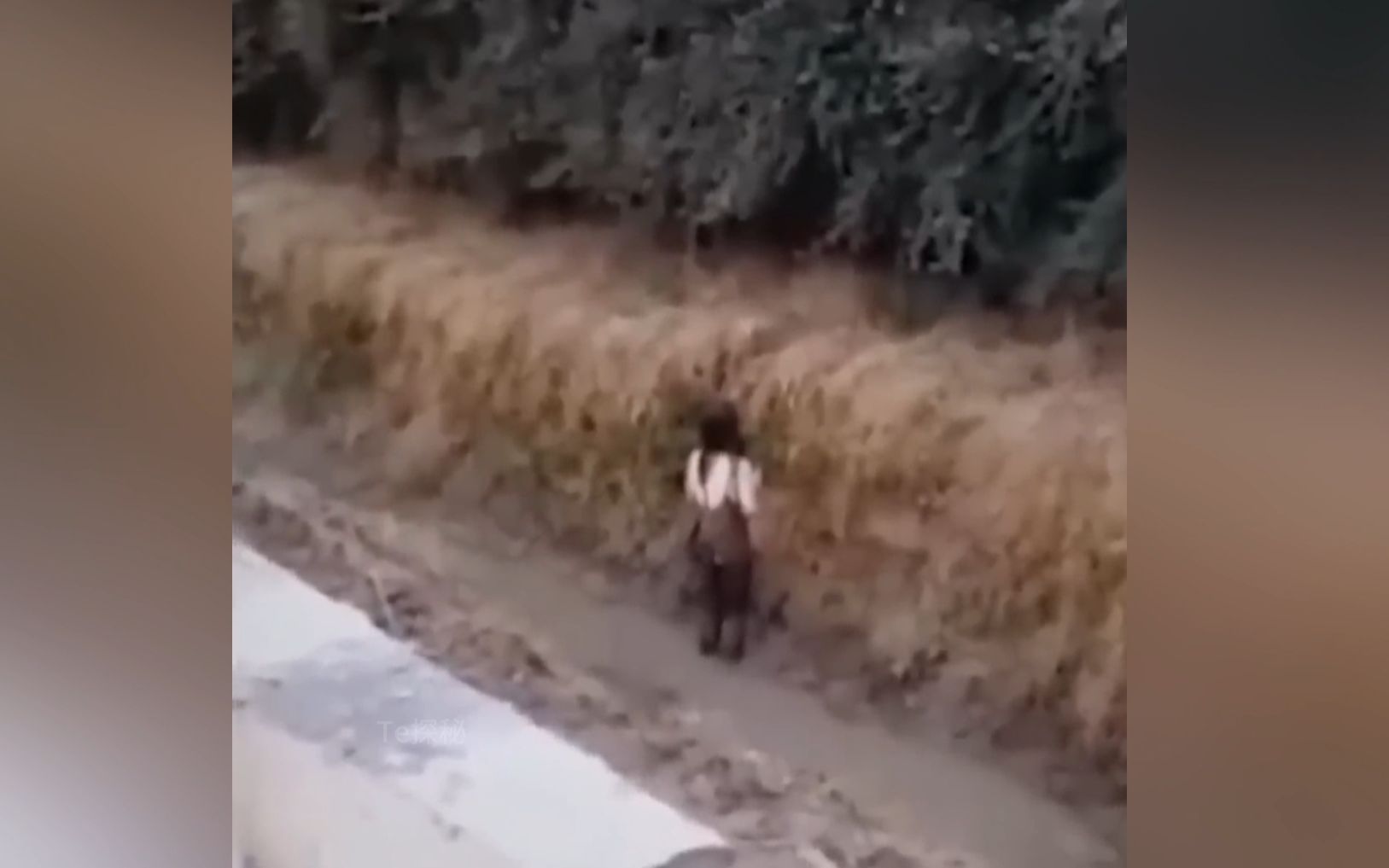 都说钓鱼佬们无所畏惧,但是如果钓鱼时遇到这些东西呢? Te探秘 Te探秘 哔哩哔哩视频