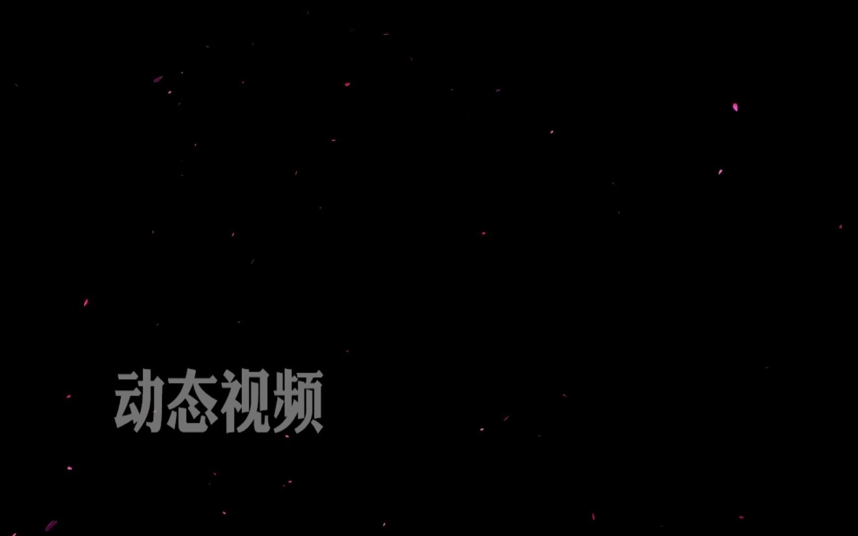 大屏素材 C233唯美粉色玫瑰花瓣飘落飞舞婚礼婚庆情人节纪念日歌舞表演舞台背景视频带通道ae Pr会声会影视频后期制作剪辑设计合成叠加动态素材