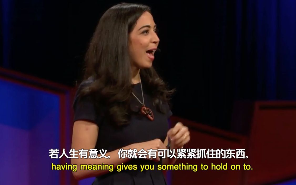 「TED」人生不只是要快乐，分享有意义人生的四大支柱【中英+可调字幕】There's more to life than being ...