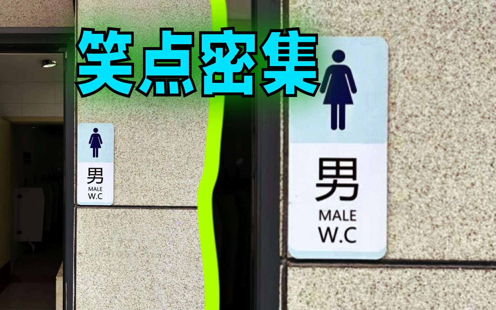 爆笑解说:这个卫生间是男厕还是女厕? 多巴安工作室 多巴安工作室 哔哩哔哩视频