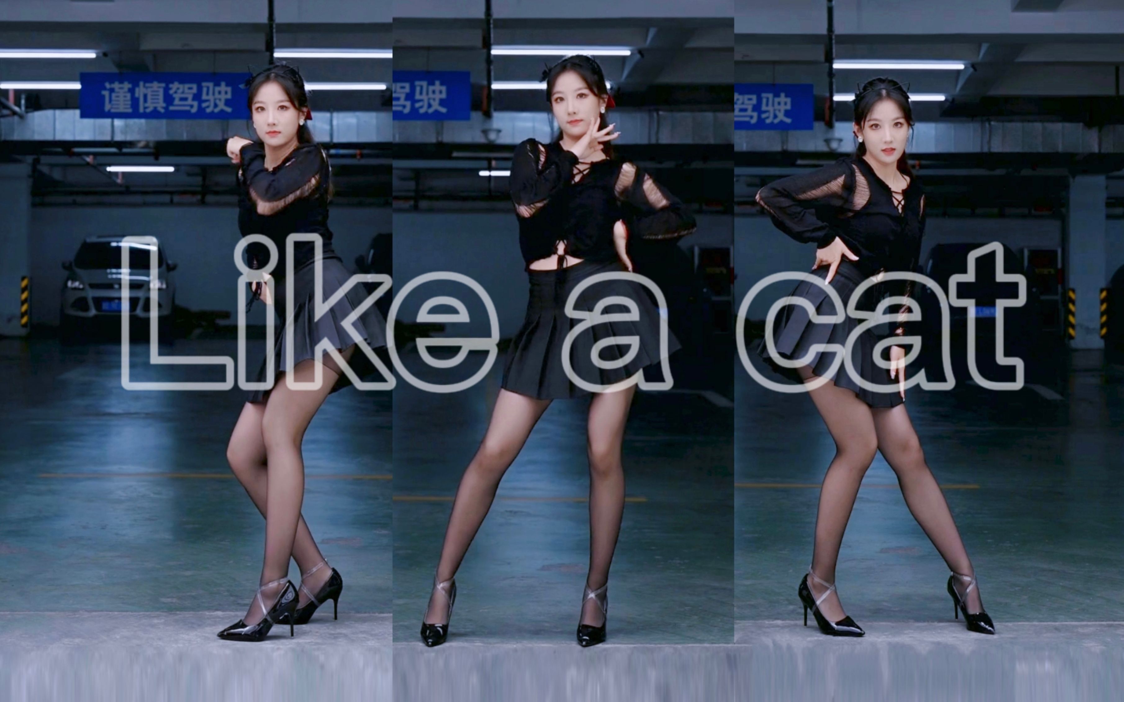 【灰鸽鸽】竖 屏 纯 享 -Like a Cat_哔哩哔哩_bilibili