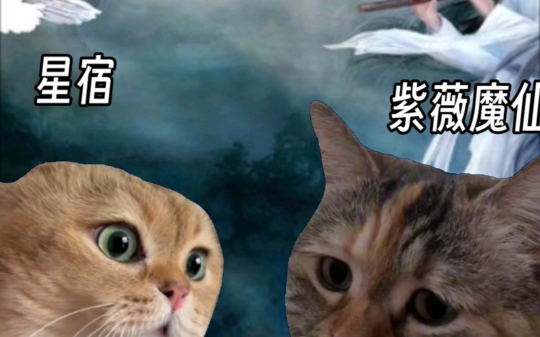 这款火遍全网的卡牌游戏，竟有如此宏大的世界观？ 叹风日日袭 默认收藏夹 哔哩哔哩视频