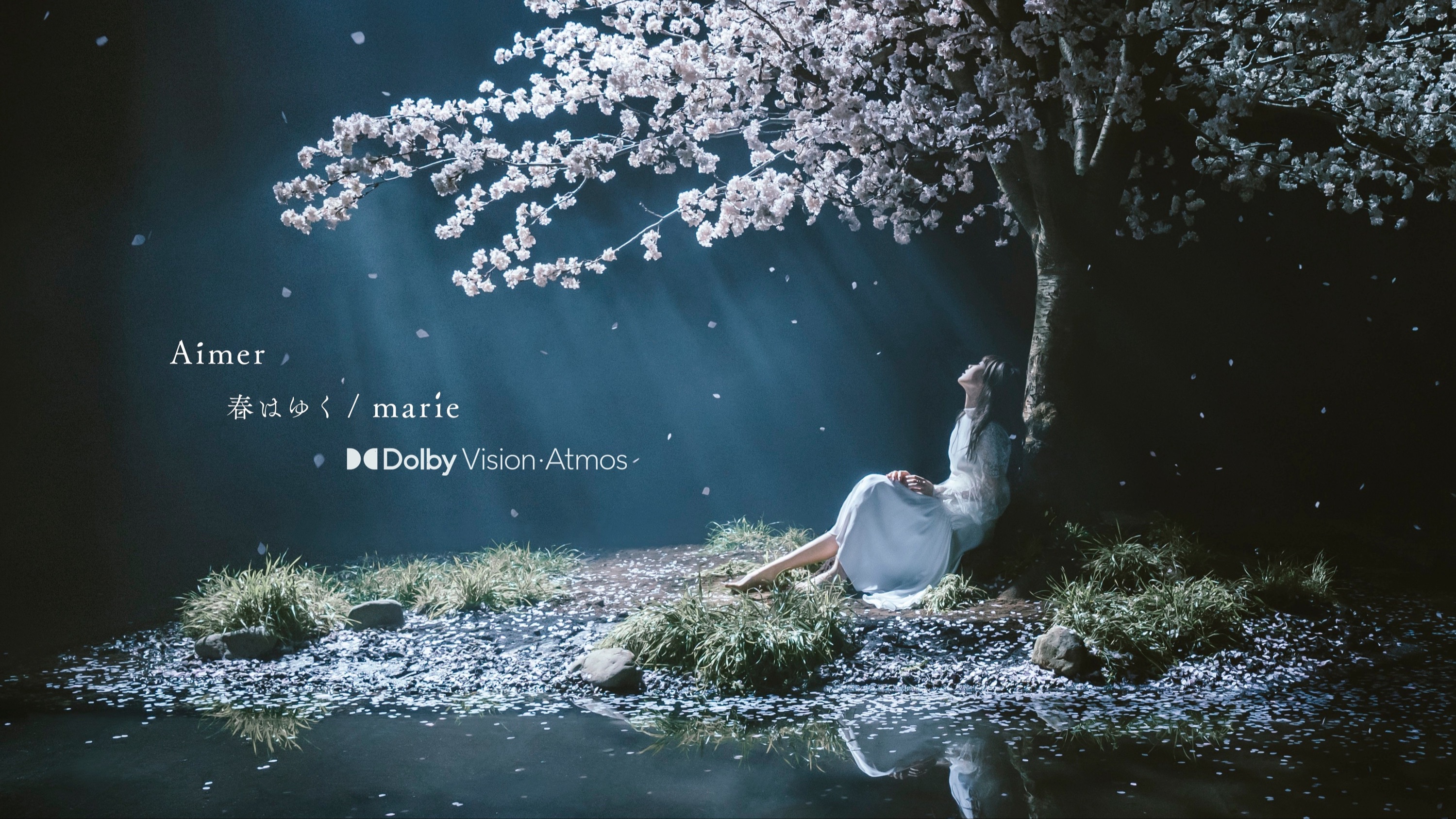 杜比全景声 + HIRES｜Aimer - 春はゆく「春逝」AMV-DRV-STUDIO-DRV-STUDIO-哔哩哔哩视频