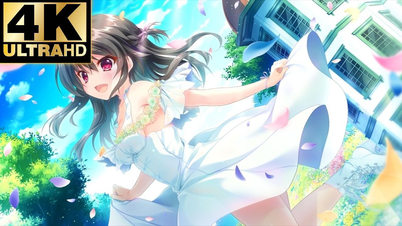 【MV】aiko《相思相爱》（柯南剧场版M27主题曲）-苦瓜不是哭瓜-音乐-哔哩哔哩视频