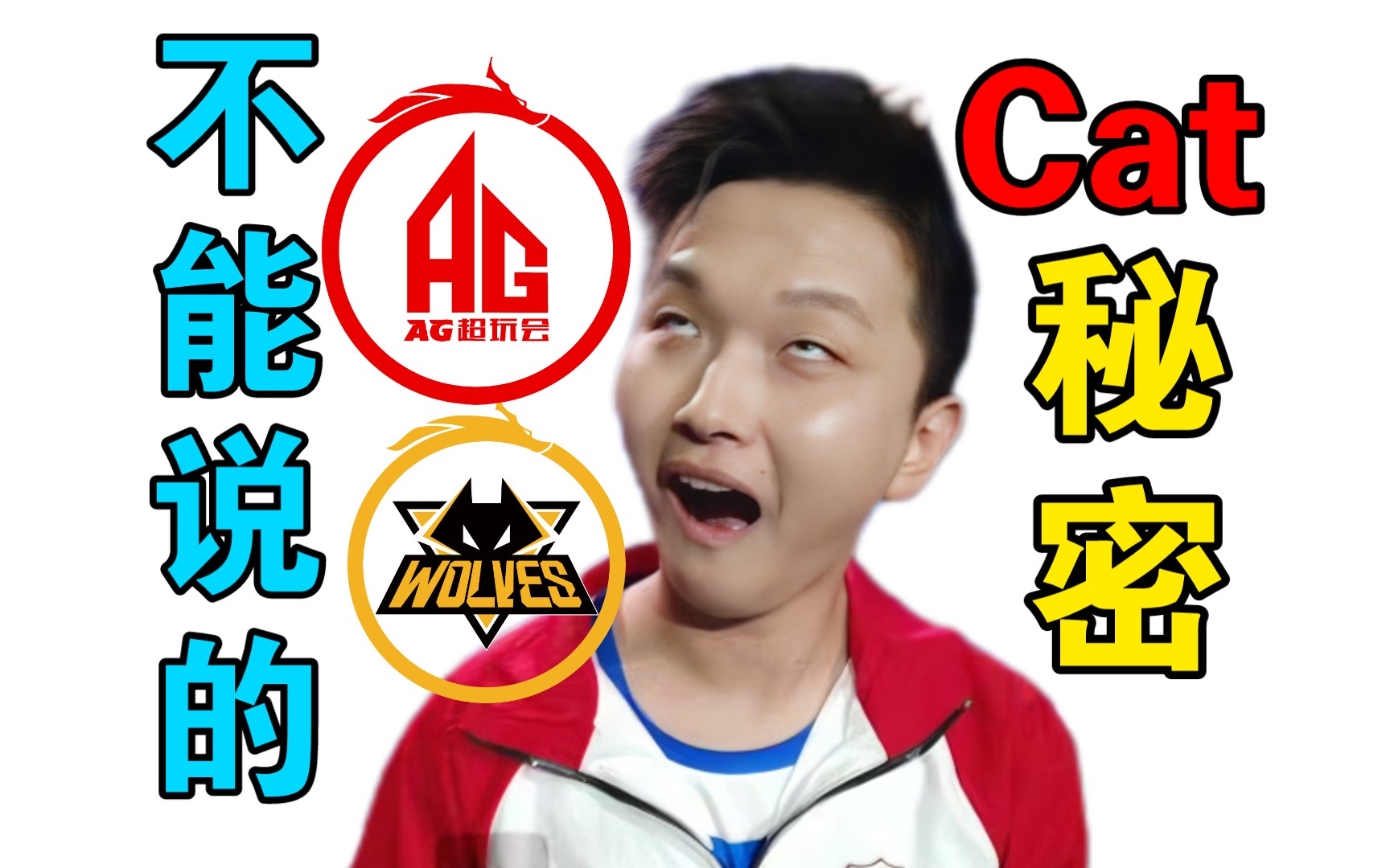 【挑杯决赛】赛前杂谈：AG进决赛≠Cat问心无愧！科普Cat不为人知的故事！-在下夜车-在下夜车-哔哩哔哩视频