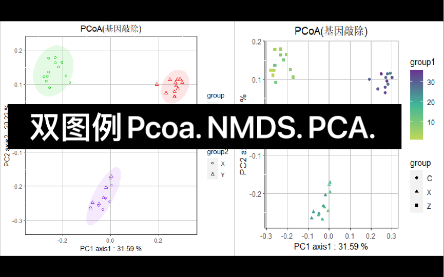 R语言保姆级教程/Pcoa. NMDS. PCA. /双图例_哔哩哔哩_bilibili