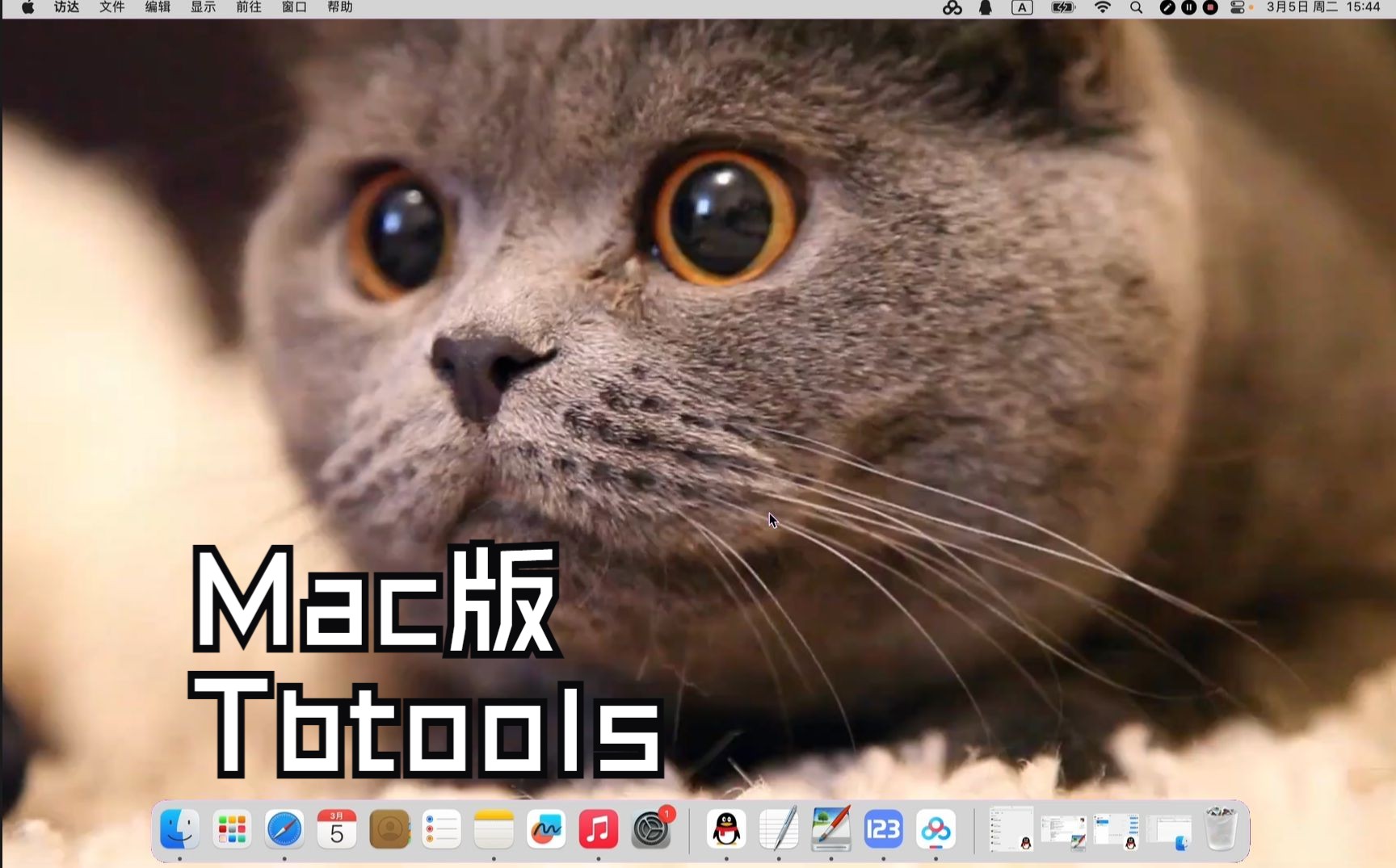 MAC版TBtools for mac下载安装教程安装包-愤怒的小绵羊II-愤怒的小绵羊II-哔哩哔哩视频