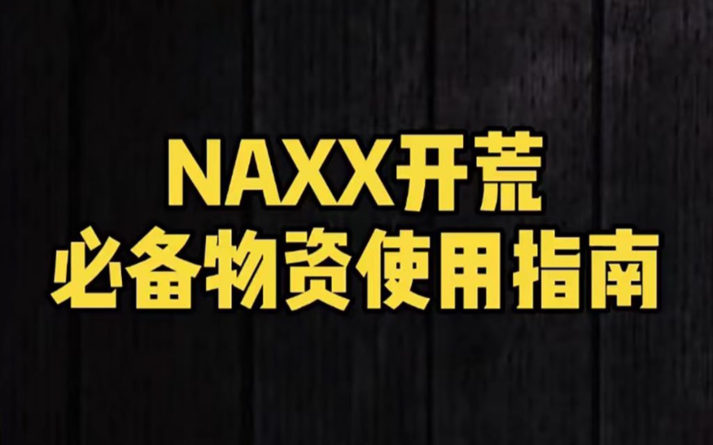【老雷魔兽】NAXX开荒必备物资使用指南_哔哩哔哩_bilibili