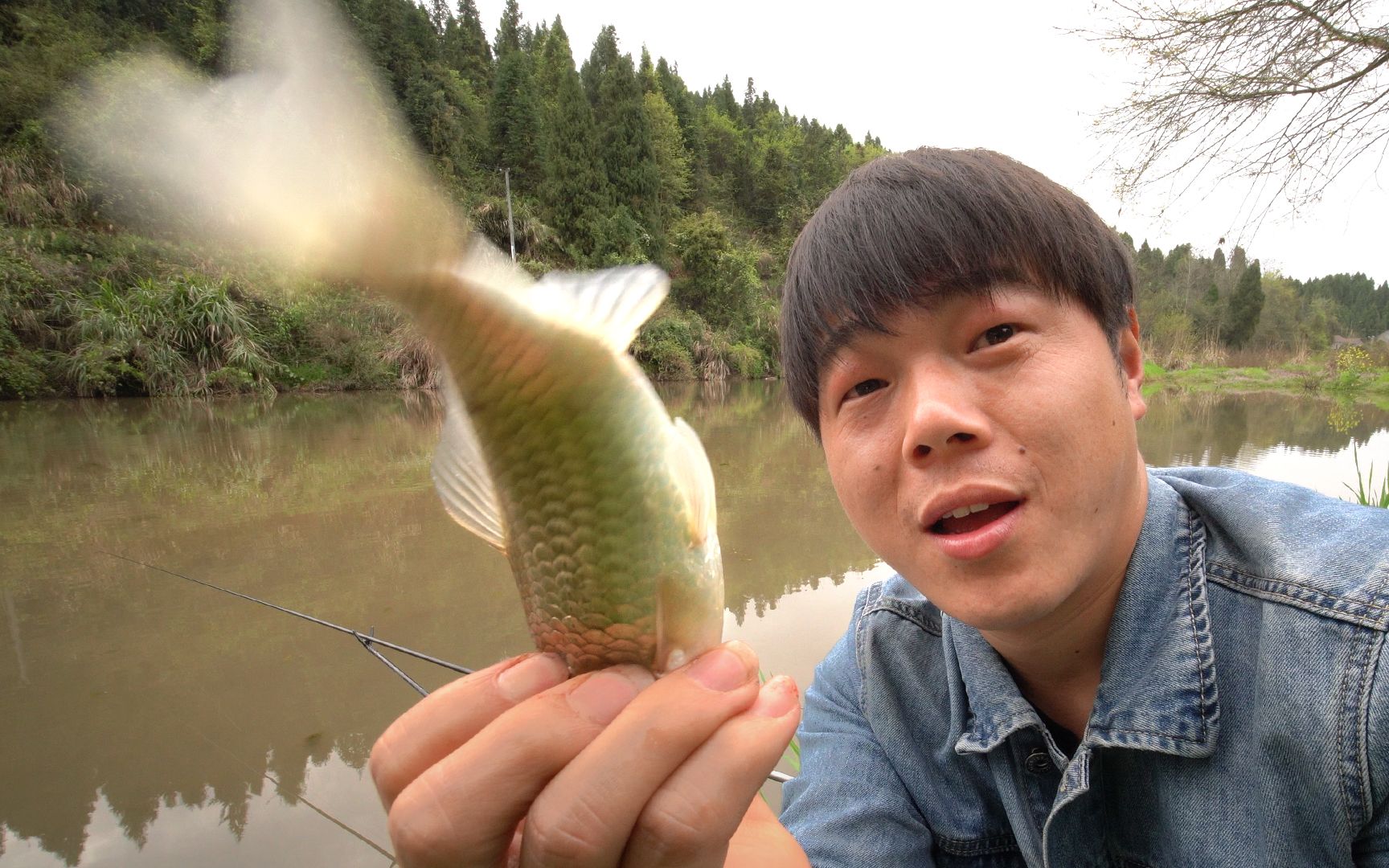 我承认我有赌的成分 去种田的向凹凸 去种田的向凹凸 哔哩哔哩视频 