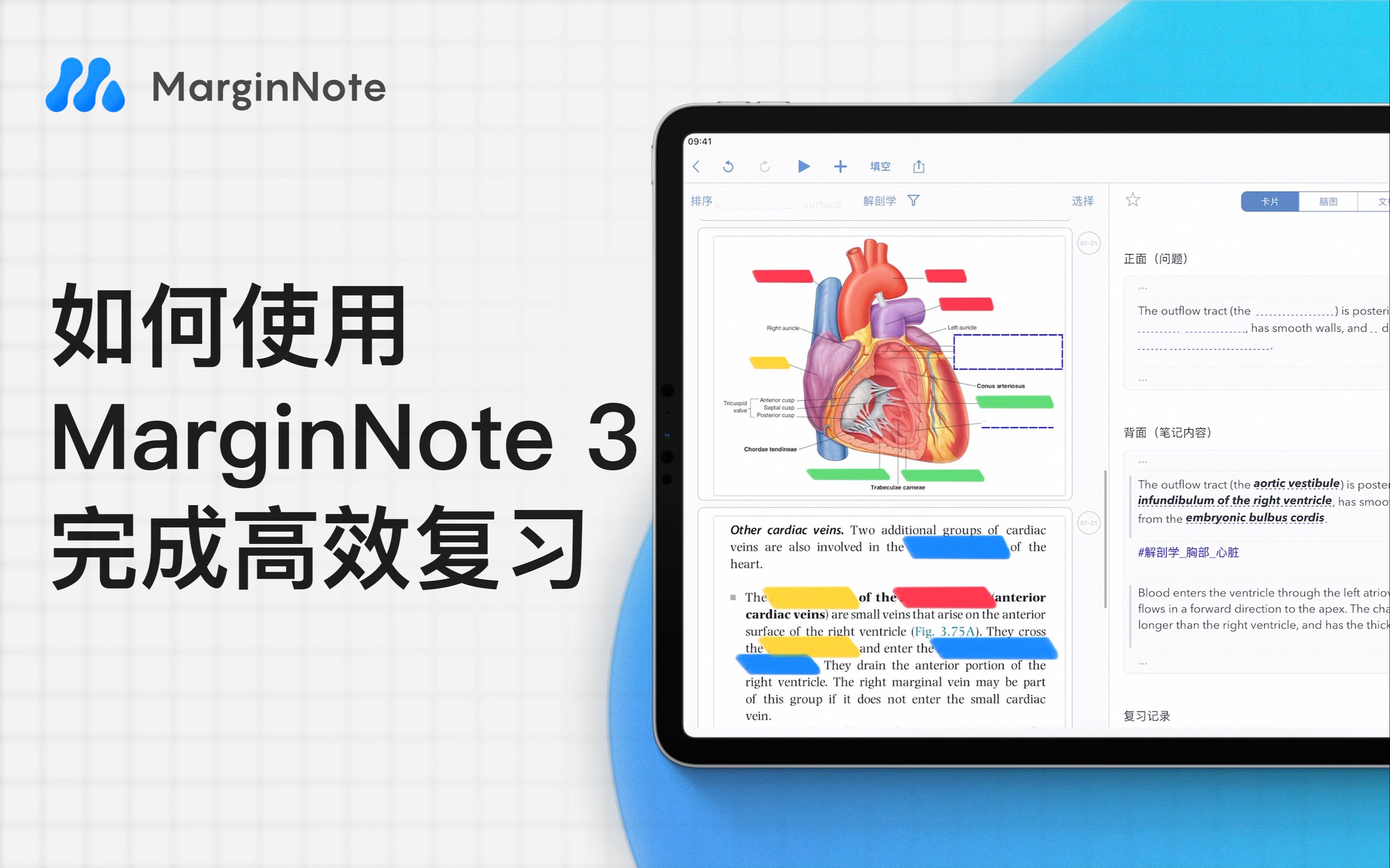 【5分钟快速上手】第五集：使用MarginNote 3 完成高效复习｜MarginNote 3教程-MarginNote官方-MarginNote官方-哔哩哔哩视频