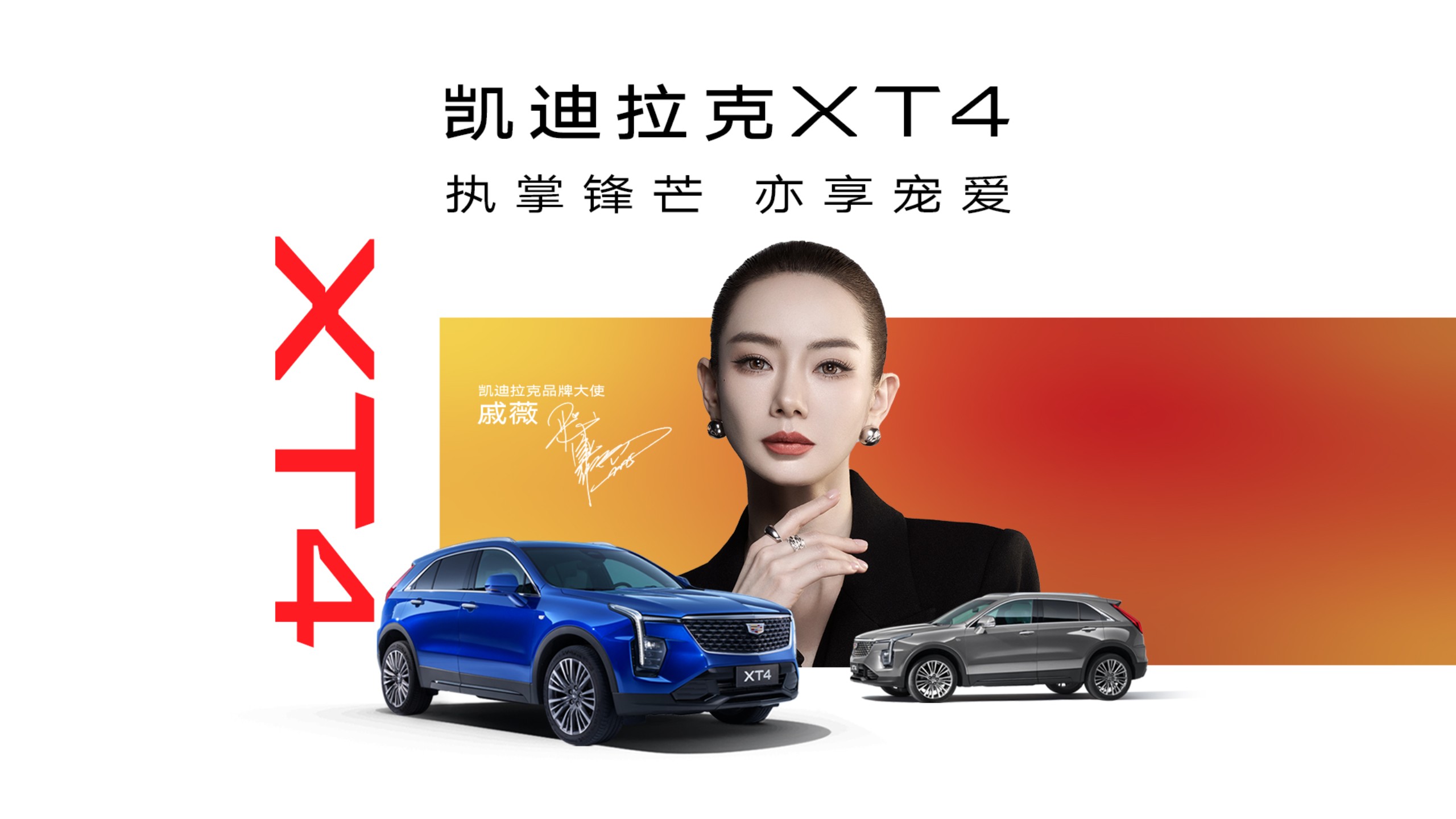 所有奔赴伟大的征程，都该有清醒掌控的底气，戚薇 × 凯迪拉克XT4 ——「清醒，是时代给女王最高的加冕礼」-bilibili(B站)无水印视频解析——6li6在线工具箱