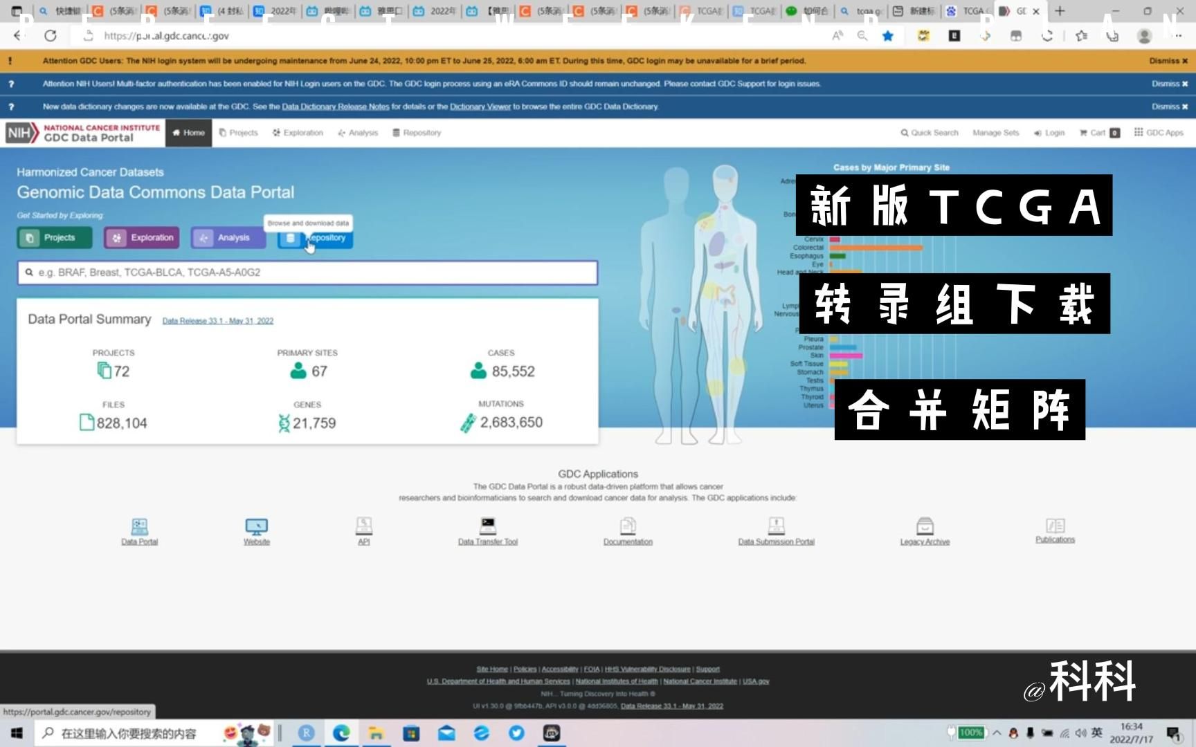TCGA系列4--TCGA id转换，lncRNA矩阵提取（python编程），GENCODE注释文件数据库简介